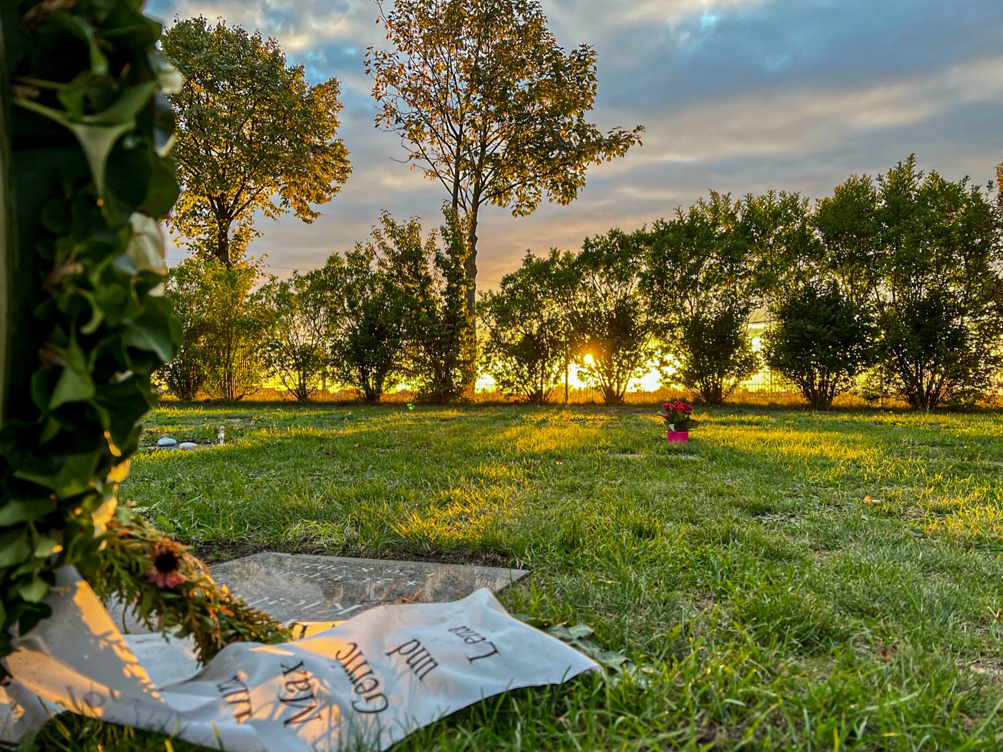 365! Jeden Tag ein Foto, eine laufende Galerie von Gerric Kleiber ...